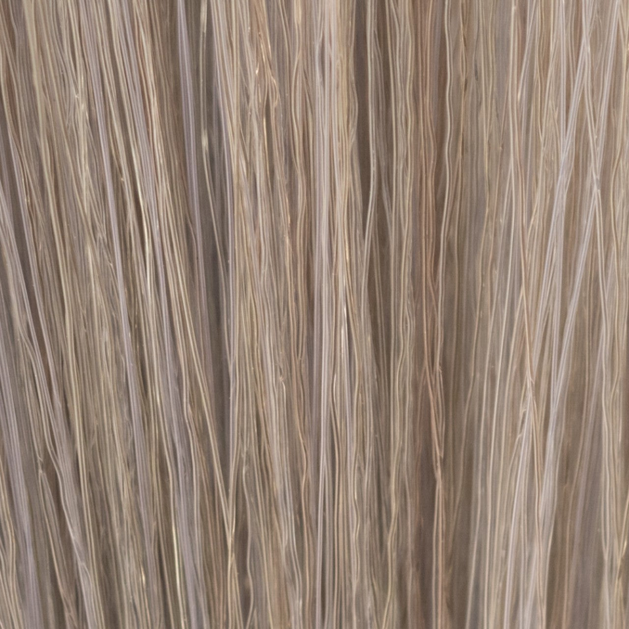 Hydra-Color Correctors – INSIGHT for PROS